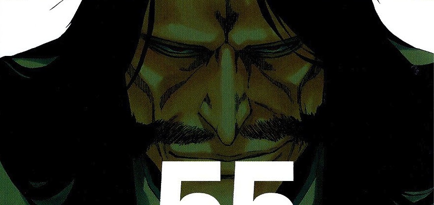 Review : Bleach Tome 55 - The Blood Warfare - YZGeneration