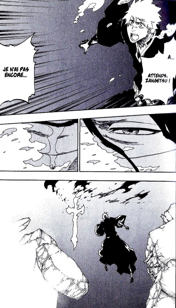 Review : Bleach Tome 61 - « Tu es Moi et Je suis Toi » - YZGeneration