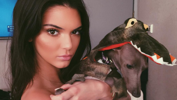 Kendall Jenner : Pourquoi elle est la plus Aimée des Kardashian ...