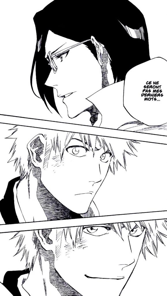 Bleach Tome 72 : « Le Sacrifice est la plus noble des valeurs